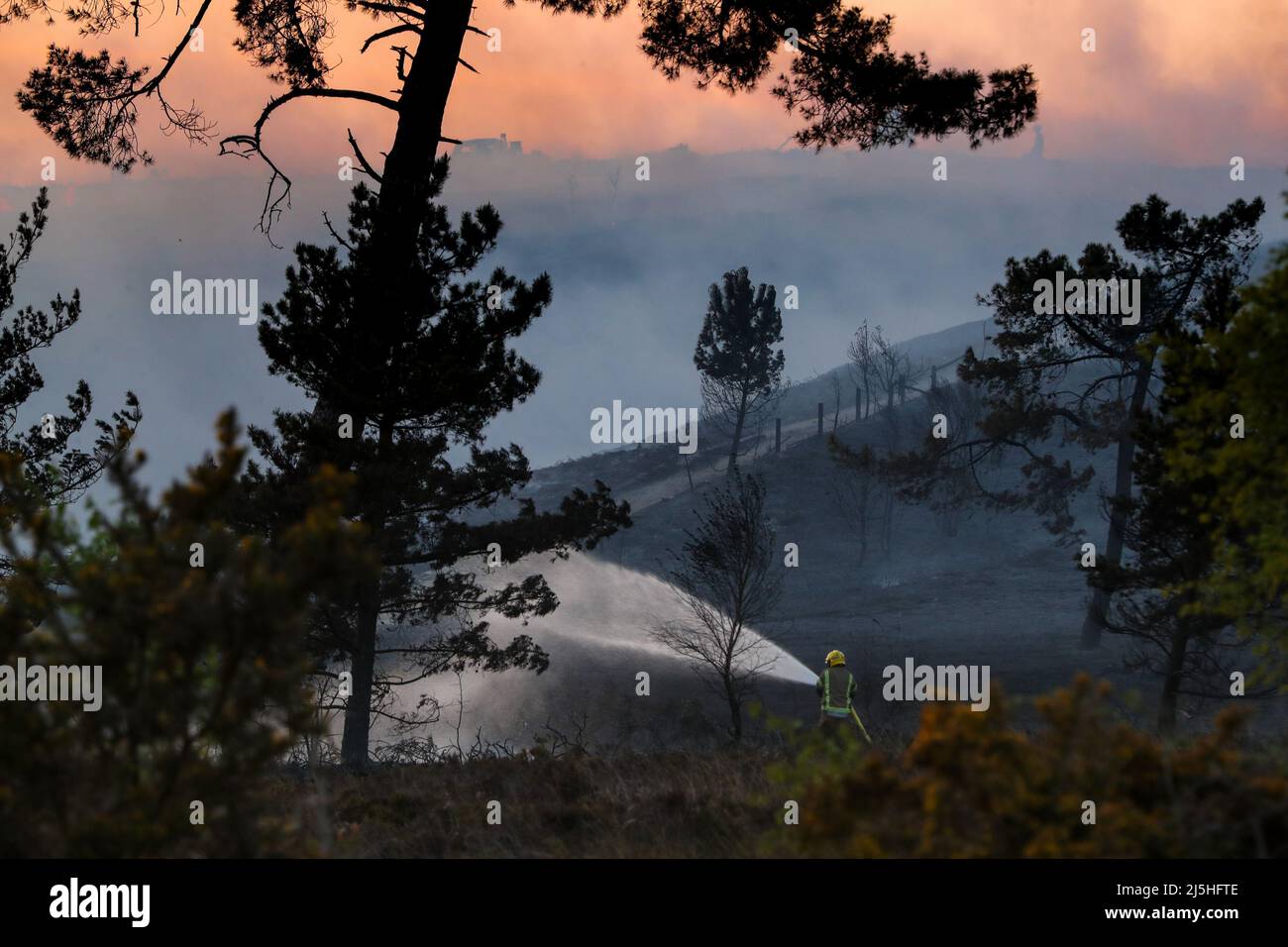 Heath fire dorset hi-res stock photography and images - Alamy
