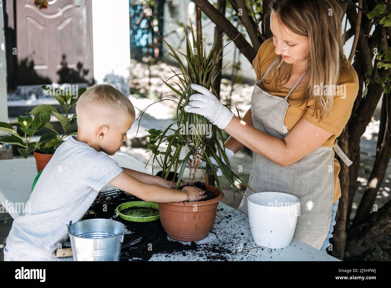 Spring Houseplant Care, repotting houseplants. Happy family, Mom and ...
