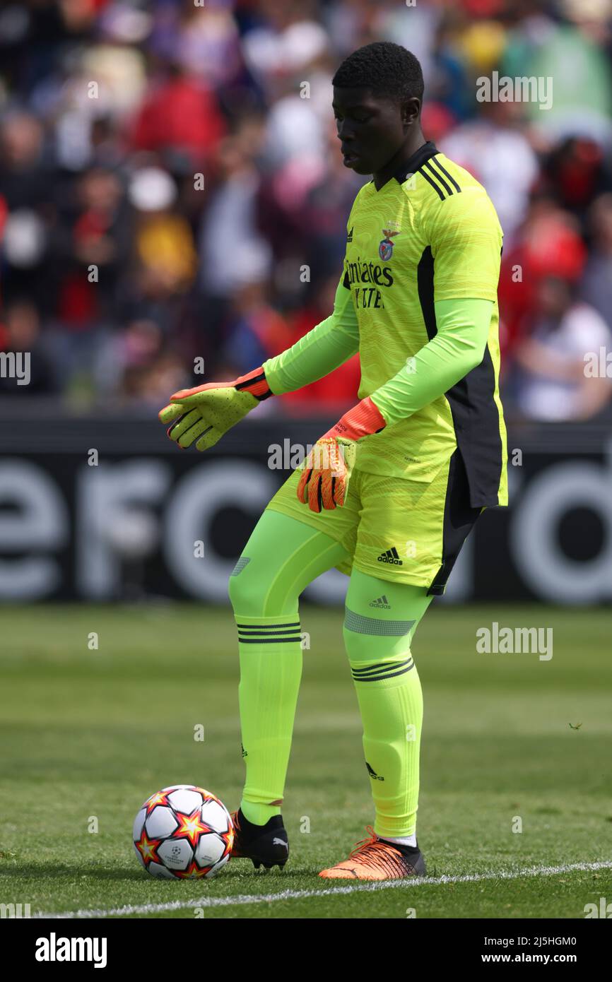 Samuel soares hi-res stock photography and images - Alamy