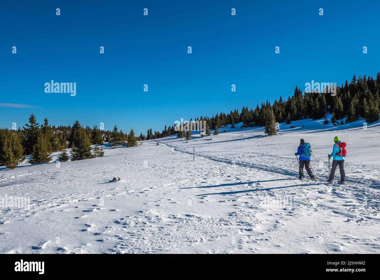 Group Of Sporty Hikers With Snowshoes On A Trail Through Winter ...