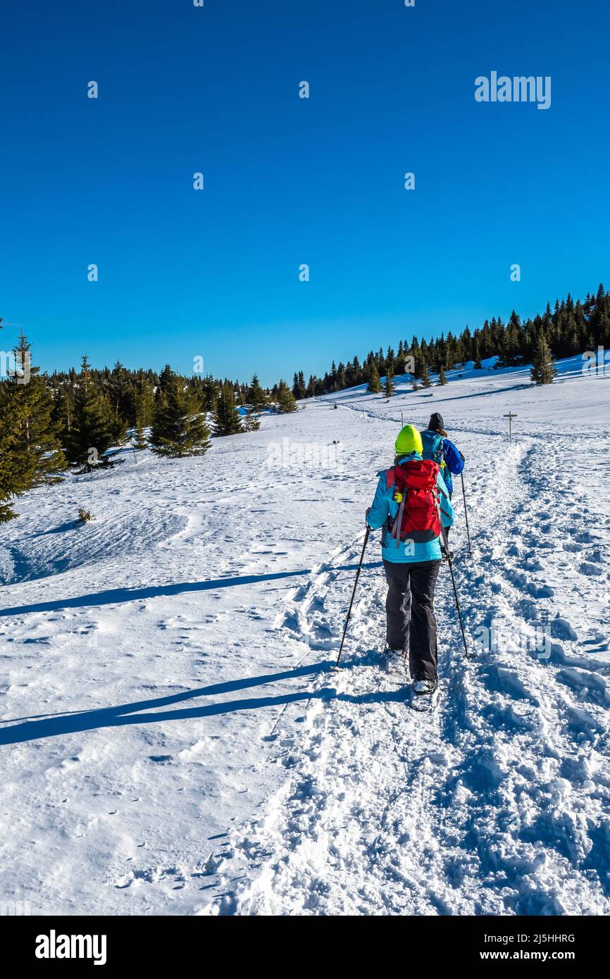 Group Of Sporty Hikers With Snowshoes On A Trail Through Winter ...