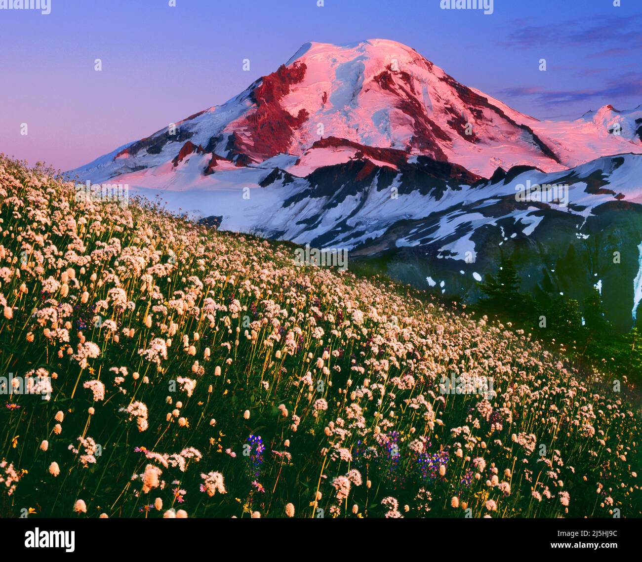 Sunset Mount Baker Mount Baker Sunset Prints — LUCAS KRATOCHWIL