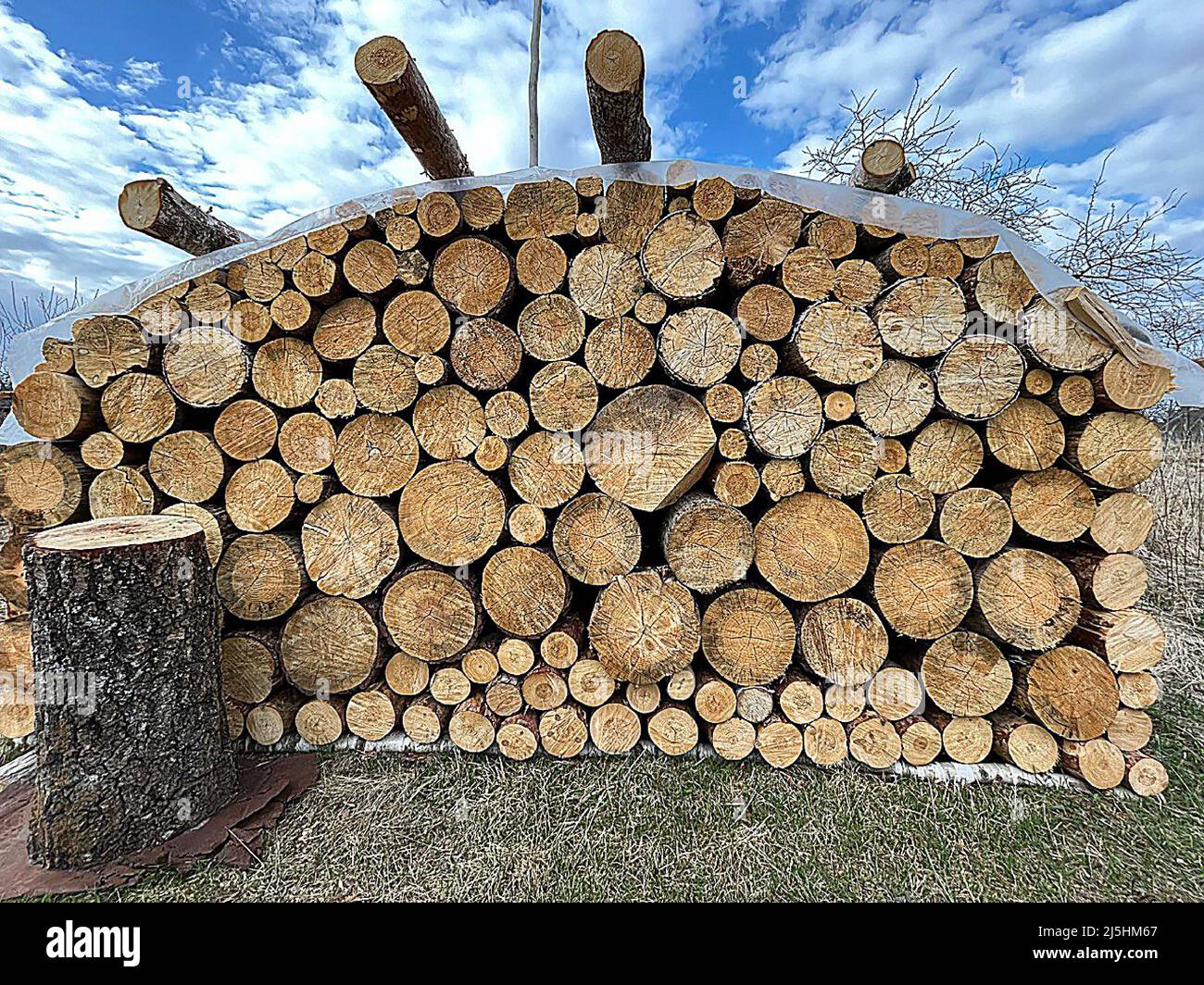 Firewood stacked in yard logs hi-res stock photography and images - Alamy