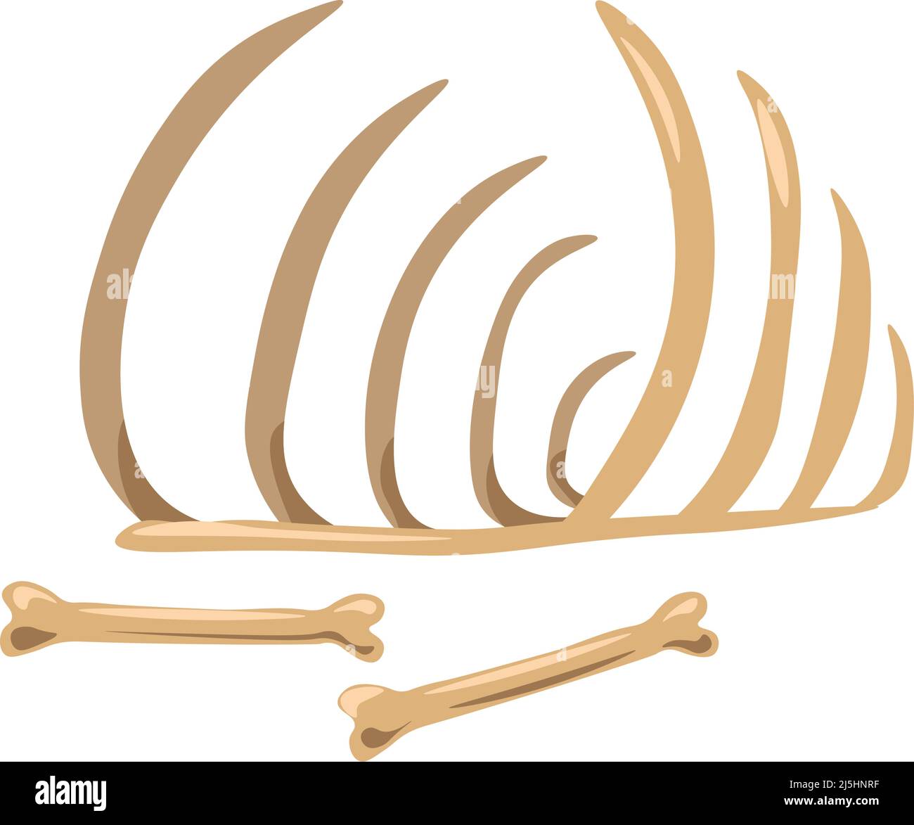 Bones skeleton left by extinct animal in past Stock Vector Image & Art ...