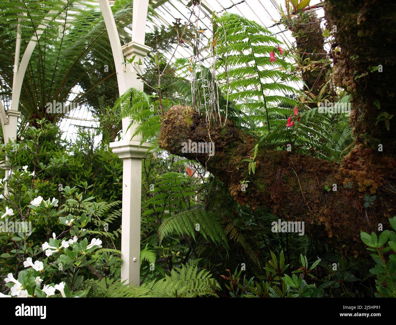 Botanic garden dublin ireland flowers meadows and park Stock Photo - Alamy