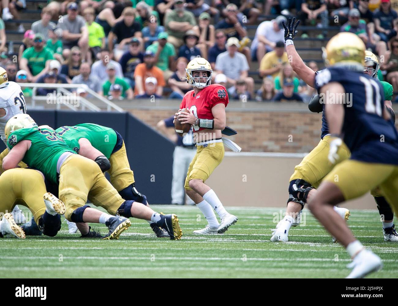 2022 0617 jpg hi-res stock photography and images - Alamy