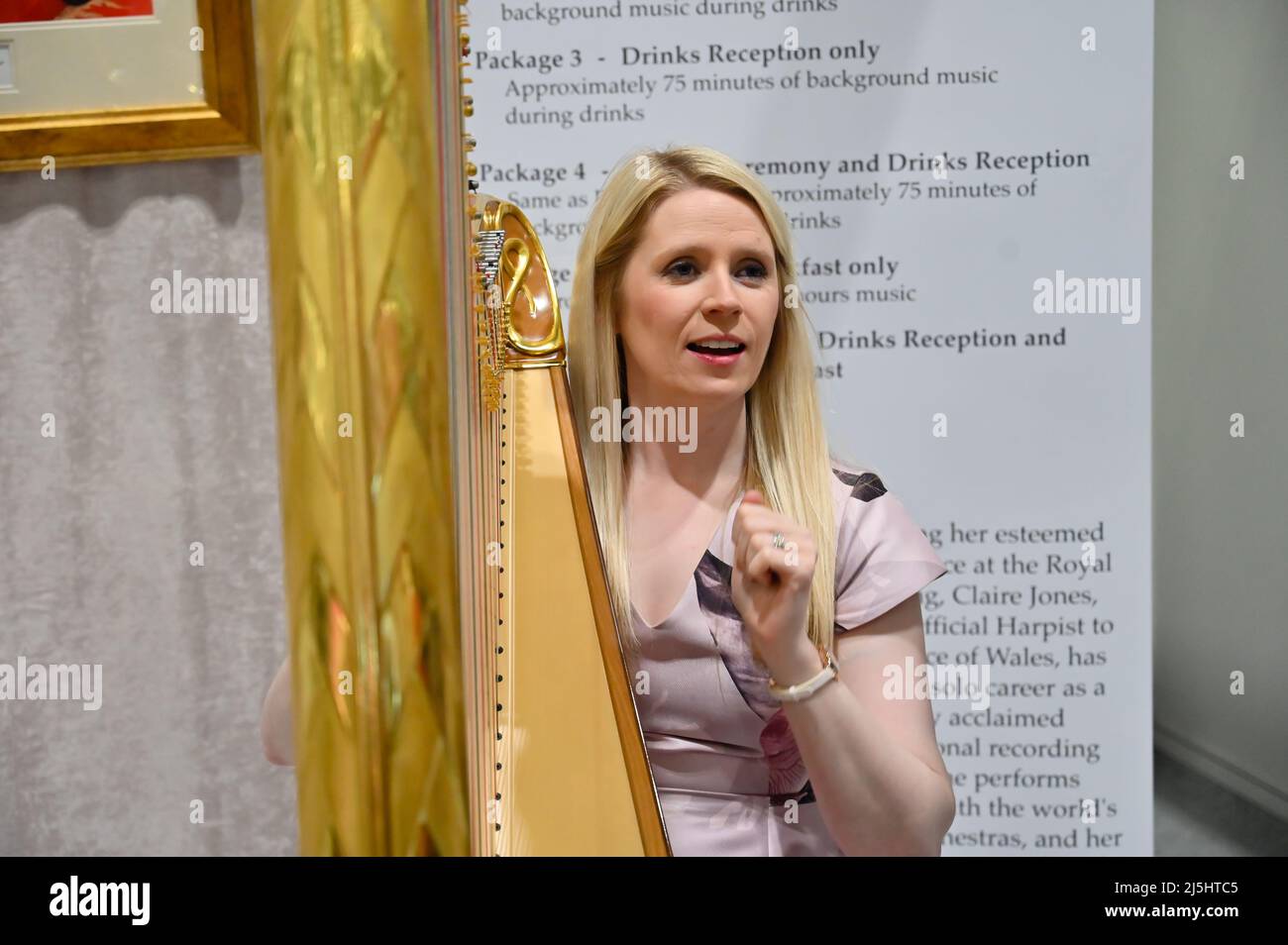 Claire Jones is a wedding musician for hire exhibition at the National ...