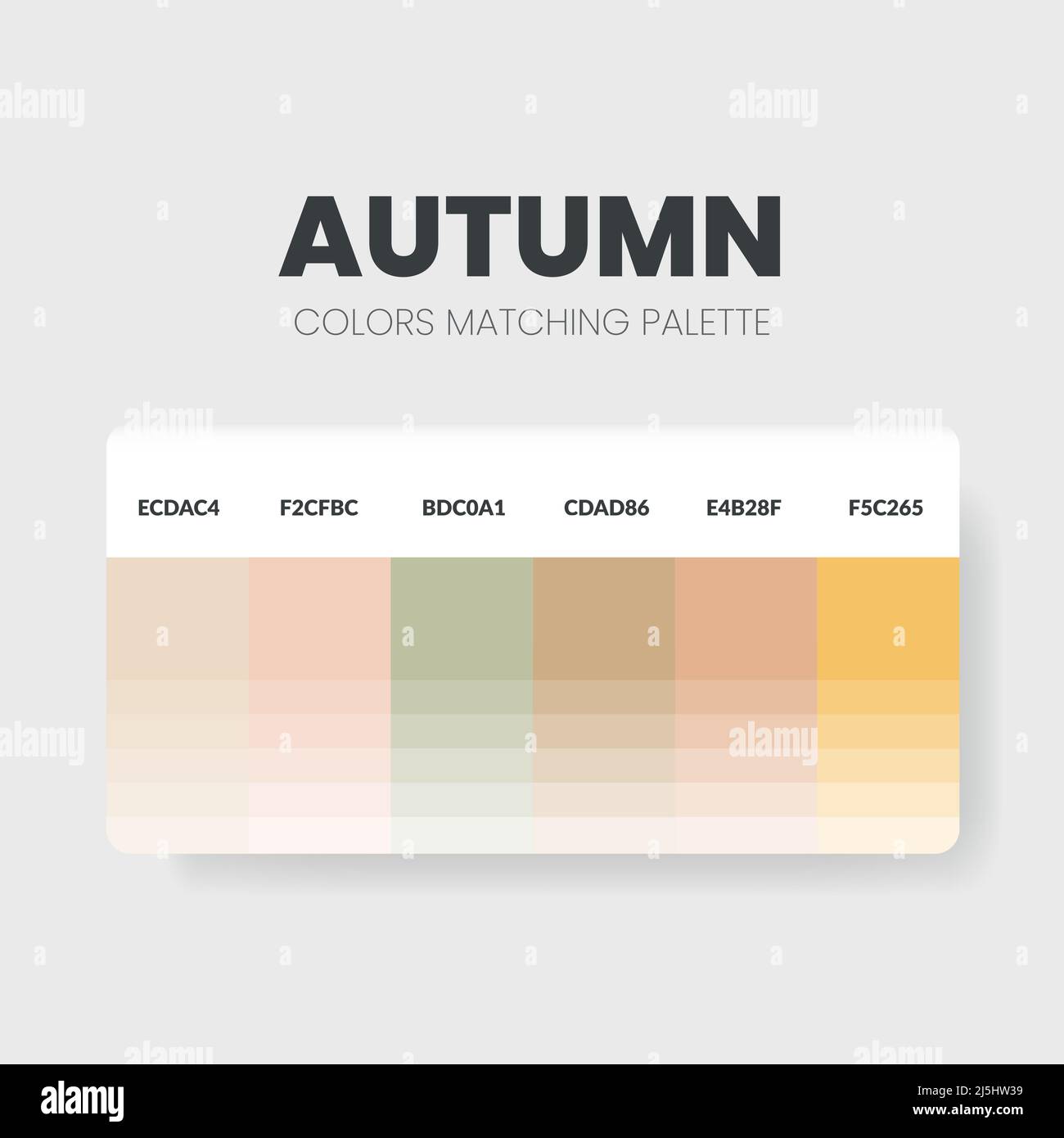 Fresh color matching palettes or color schemes are trends combinations ...