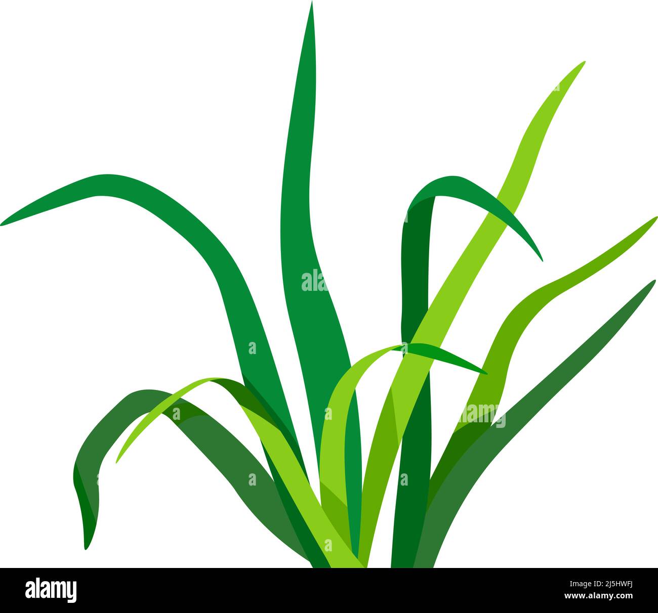 Yard weed Stock Vector Images - Alamy