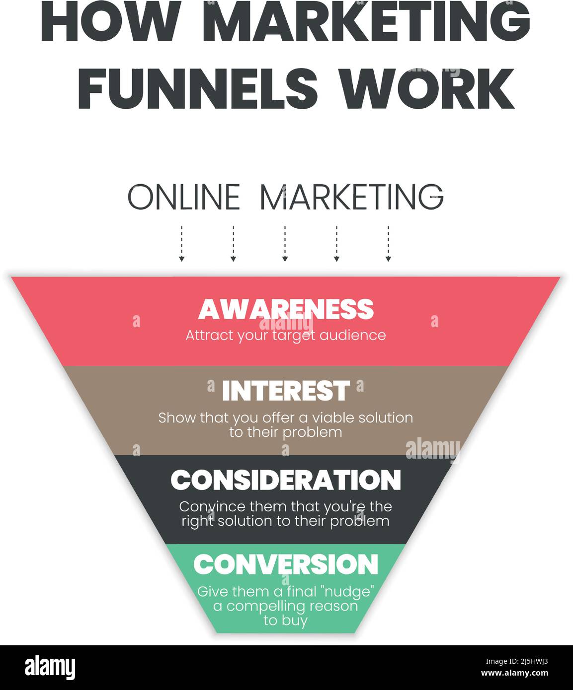 Audience Analysis Infographic