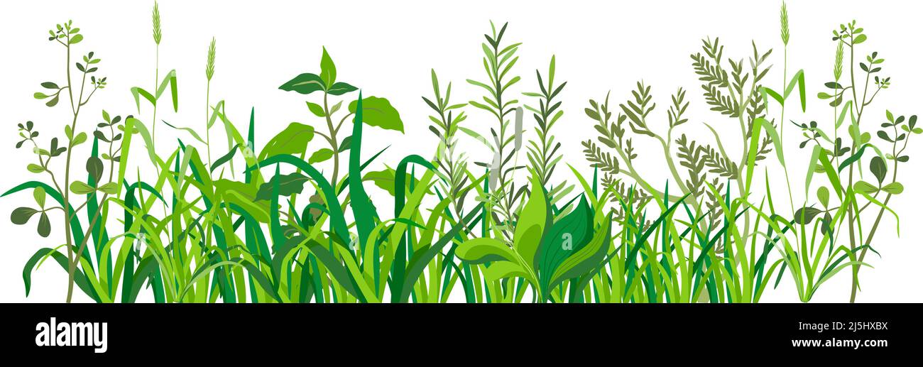 Rural areas agriculture Stock Vector Images - Alamy