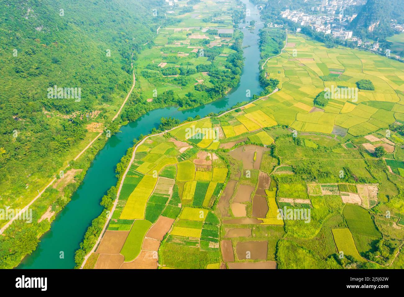 Aerial view of green rice field and river nature scenery in countryside ...