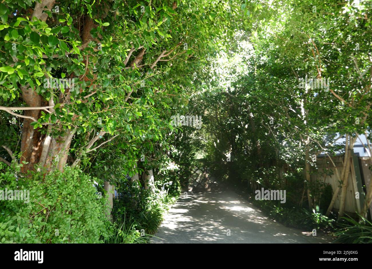 Beverly Hills, California, USA 15th April 2022 A general view of ...