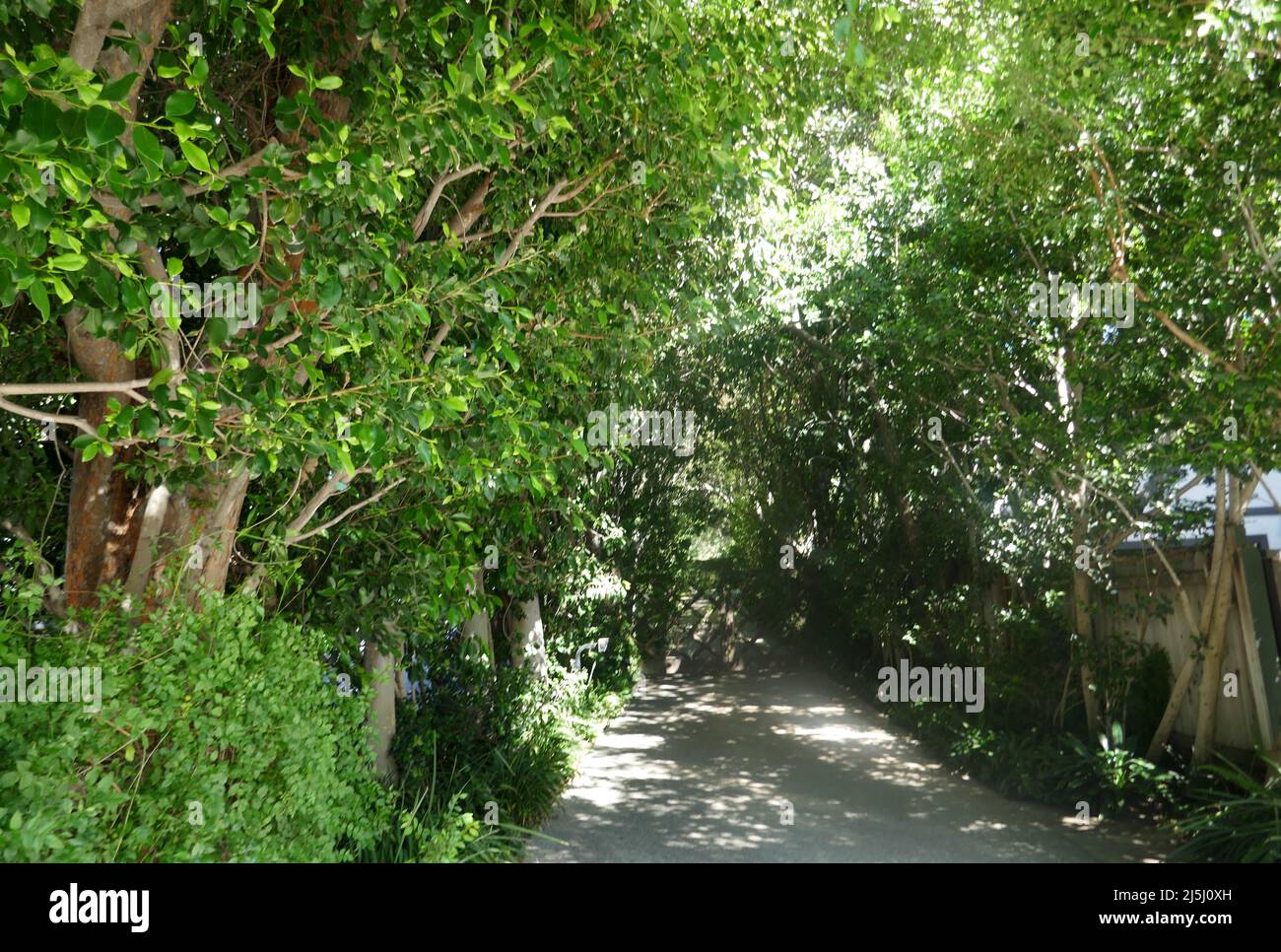 1940 coldwater canyon drive hi-res stock photography and images - Alamy 1940 coldwater canyon drive hi-res stock photography and images - Alamy