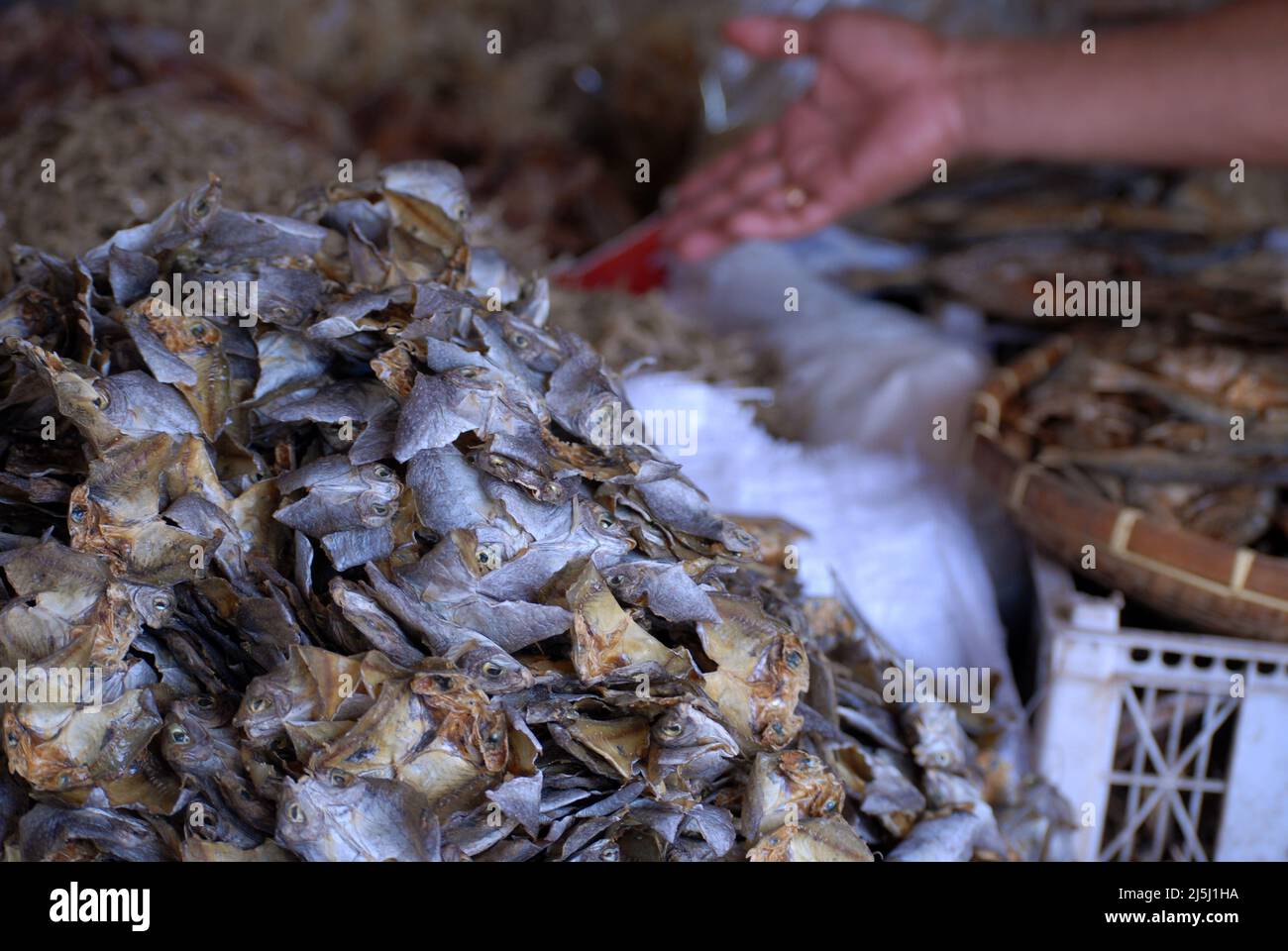 Dried fish for sale at a market, Cadiz City, Negros Occidental ...