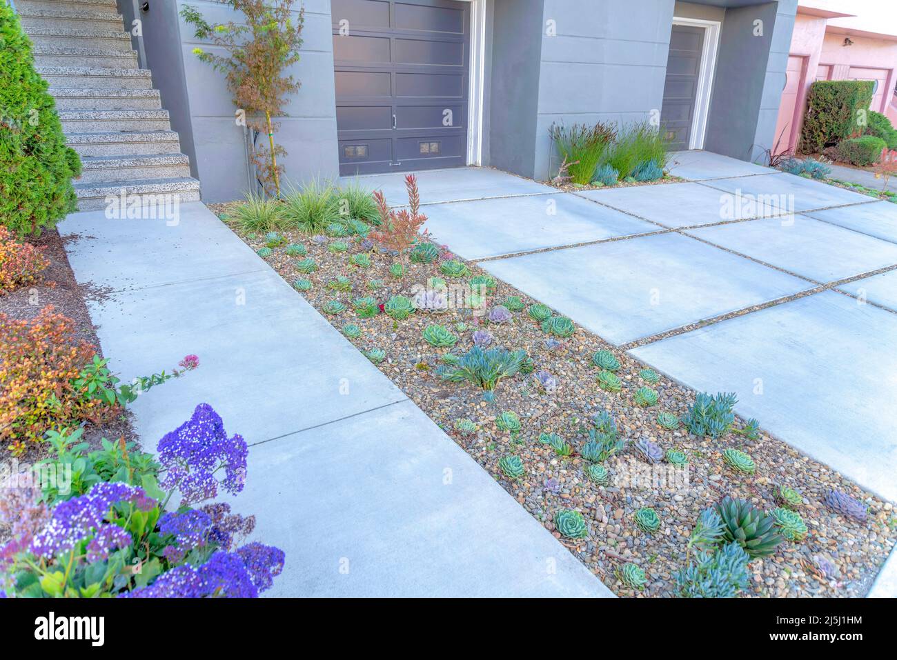 Succulent plants in the middle of concrete walkway entrance and ...