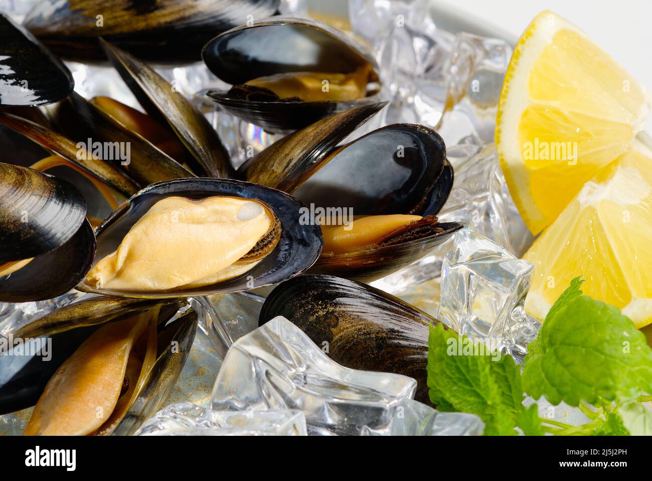 Shellfish dish. Seafood dishes. Mussels in sauce Stock Photo - Alamy