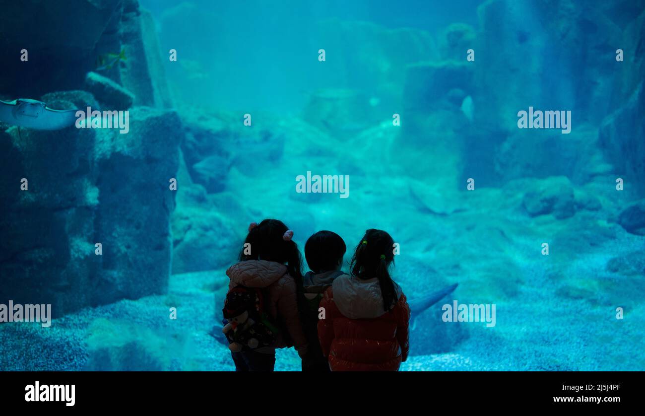 Big blue fish hi-res stock photography and images - Alamy