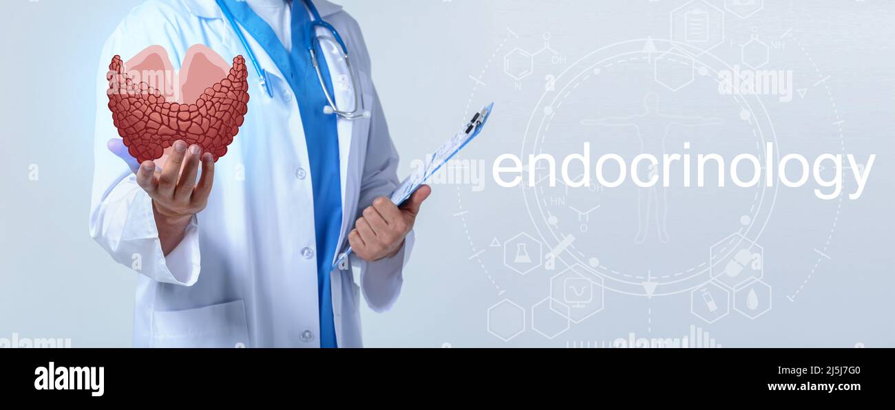 Male endocrinologist with digital projection of thyroid gland on light ...