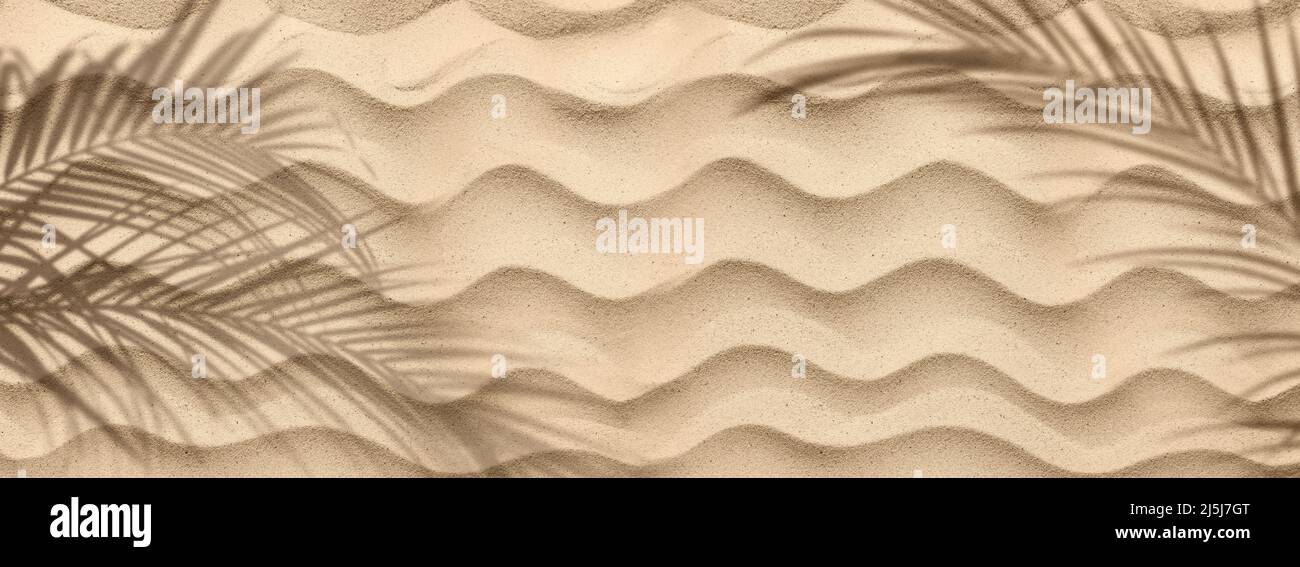 Shadow of tropical leaves on beach sand. Banner for design Stock Photo ...