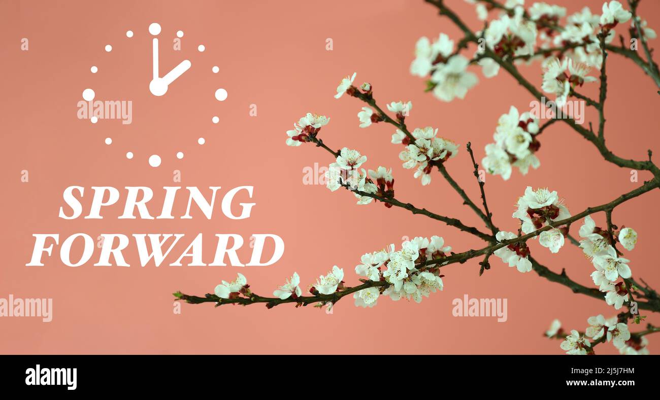 Beautiful blossoming tree branches and drawing of clock on color ...