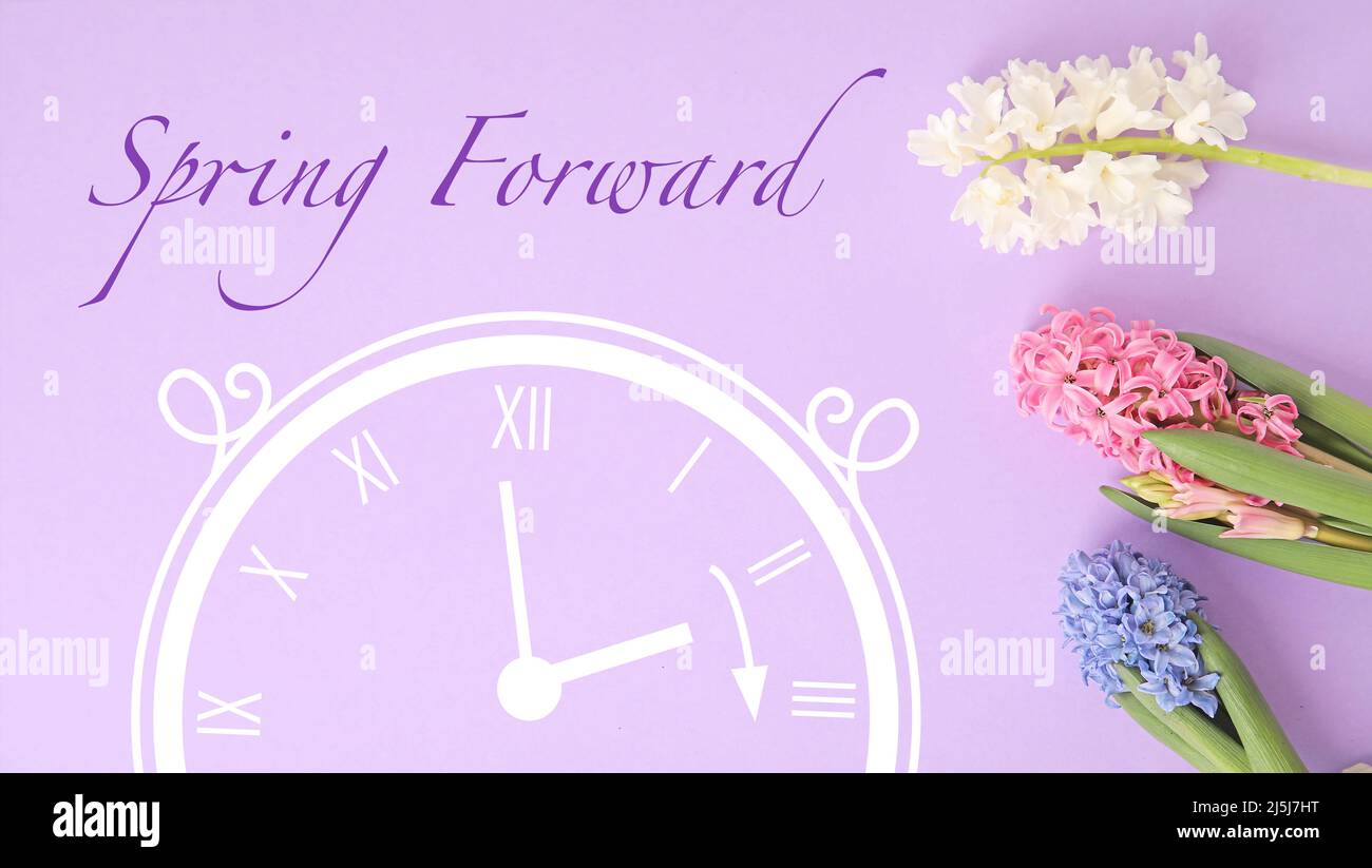 Beautiful blooming hyacinth flowers and drawing of clock on lilac ...