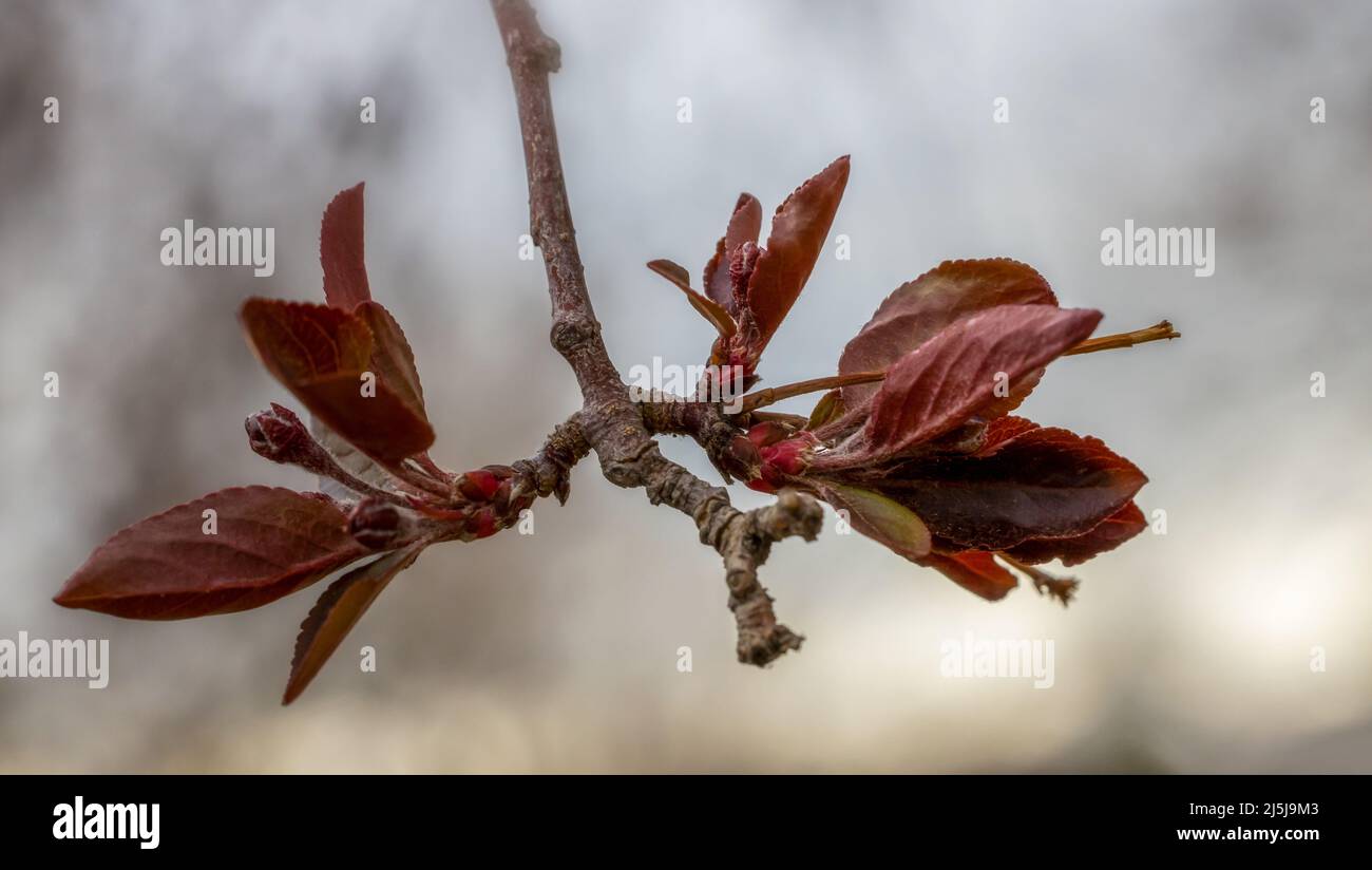 Environmental development hi-res stock photography and images - Alamy