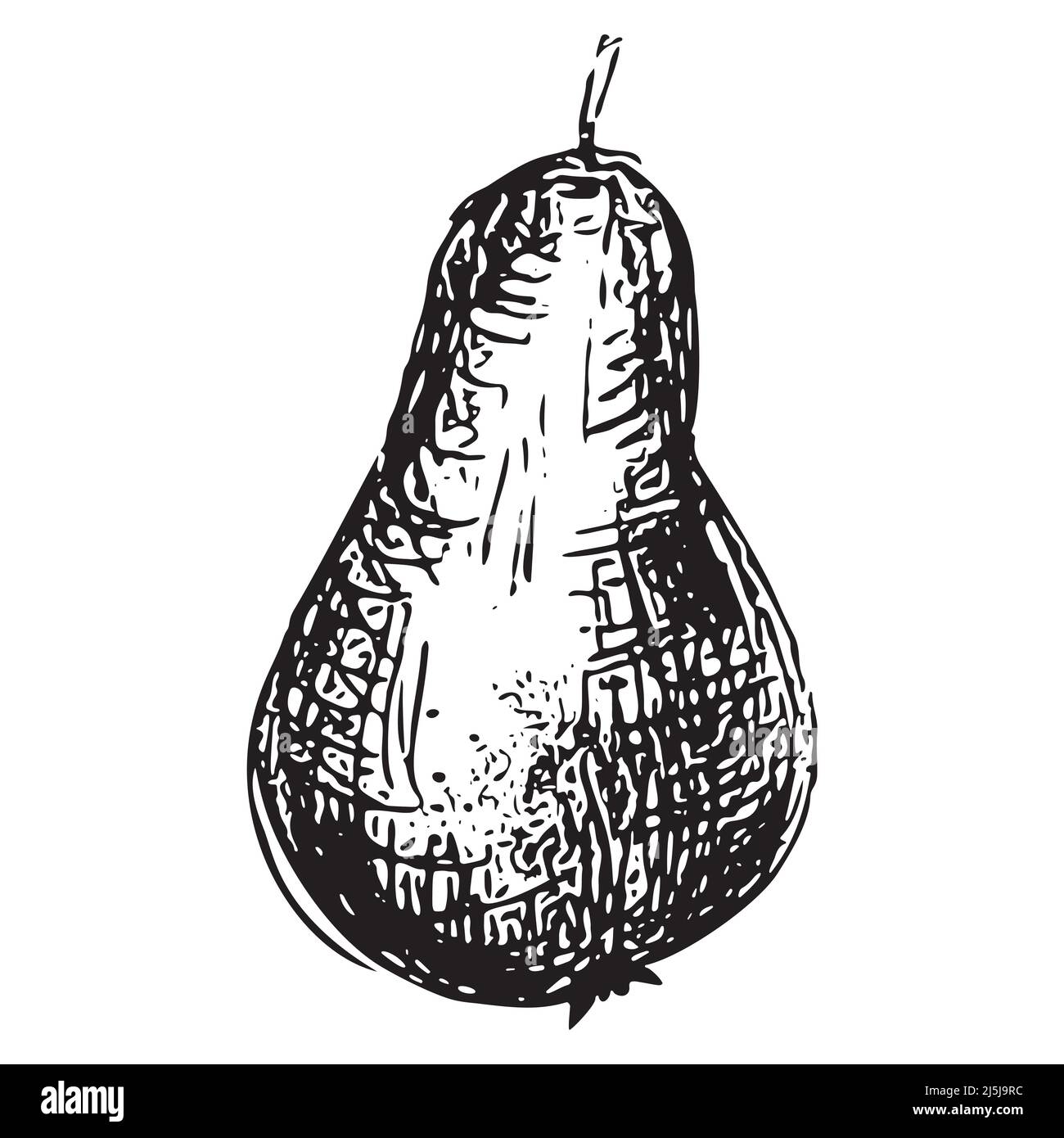 Hand Drawn Pear Sketch. Vector Element In doodle Scribble Style Stock ...
