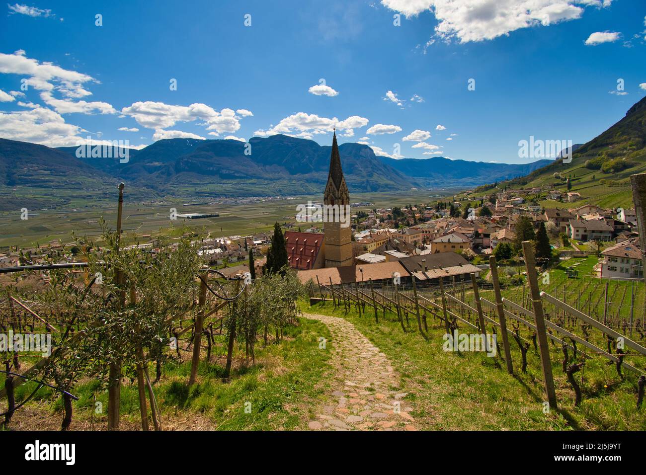 Tramin village hi-res stock photography and images - Alamy