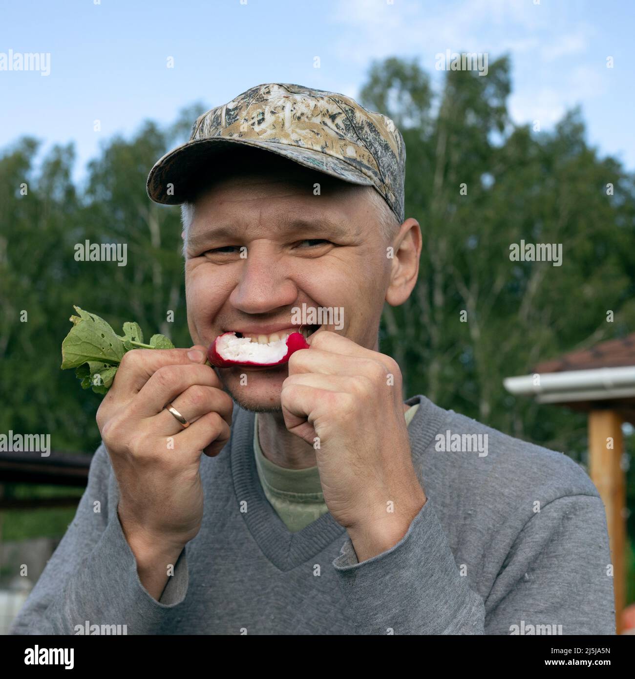 Smiling man eating fresh radishes in garden. Healthy eating concept ...