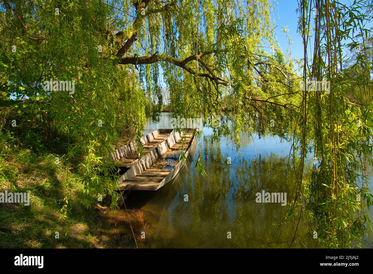 Grand ried alsace hi-res stock photography and images - Alamy