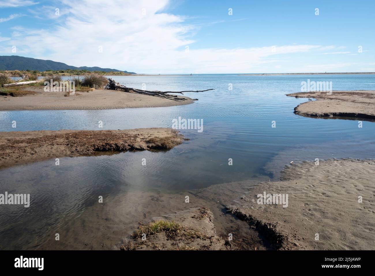 Tidal pools, Paraparaumu Beach, Kapiti District, North Island, New ...