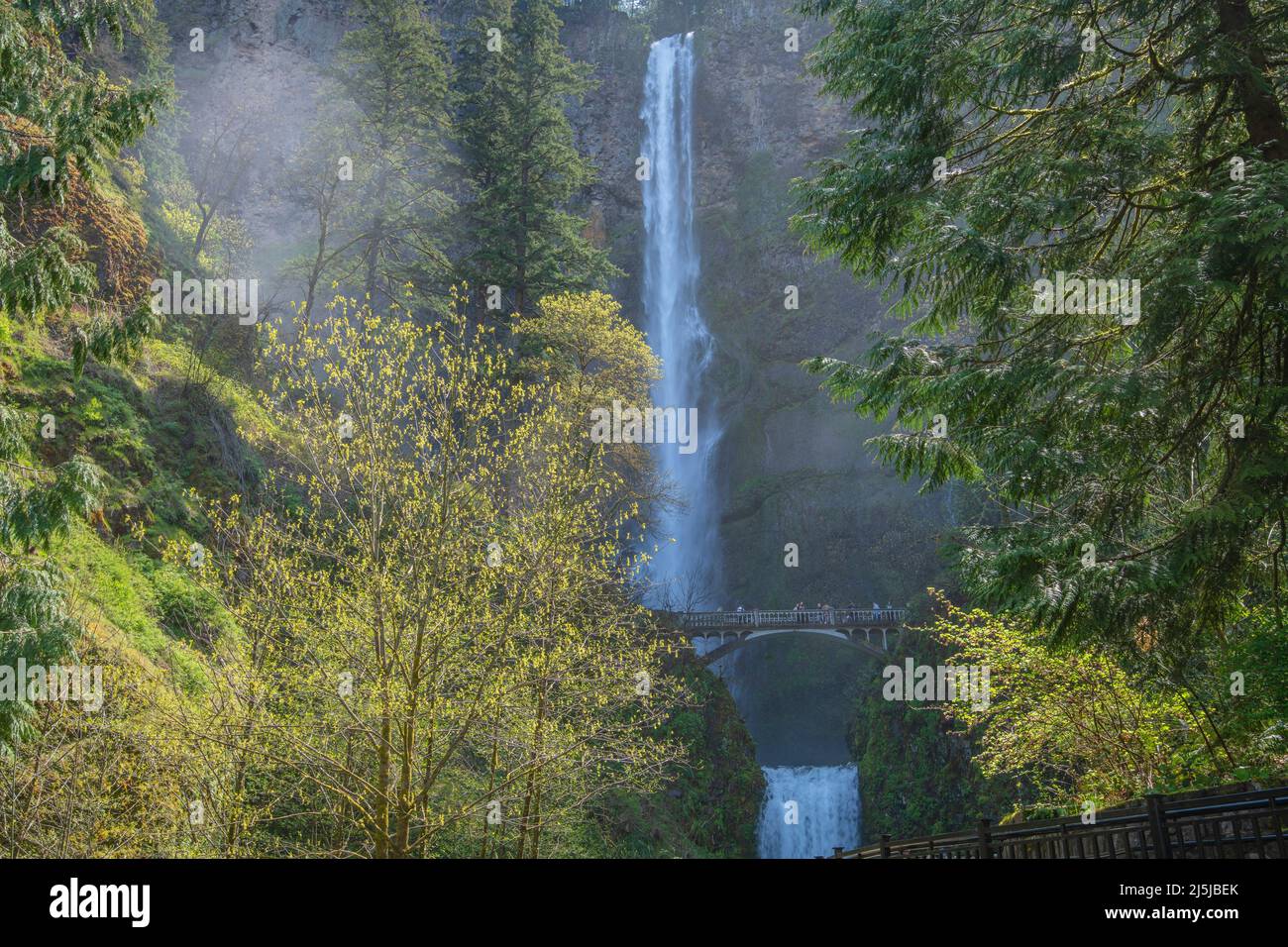 Multnomah Falls State park in Oregon state Stock Photo - Alamy