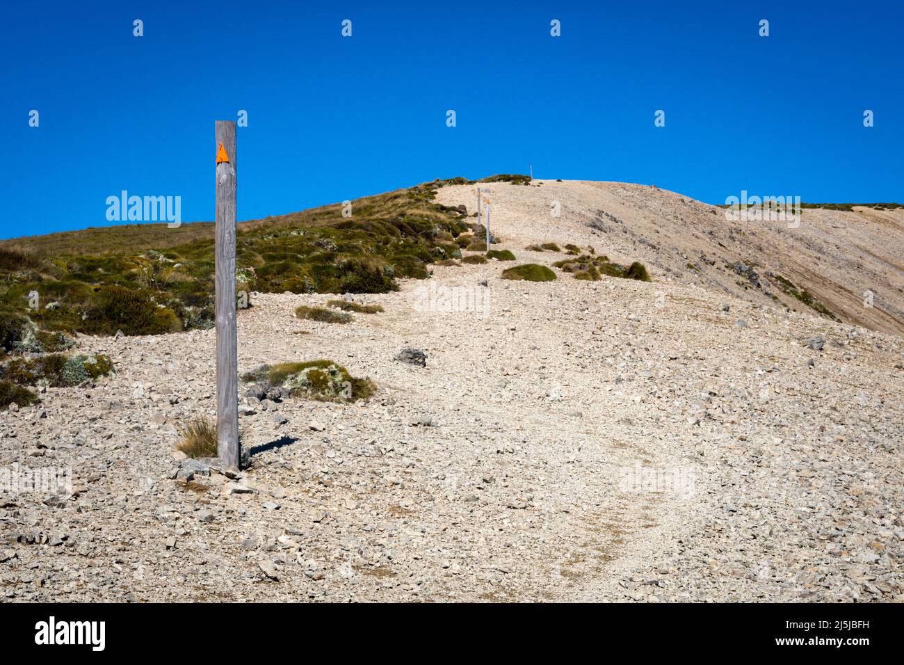 Track marker and track on Mount Robert Ridge, Nelson Lakes National ...