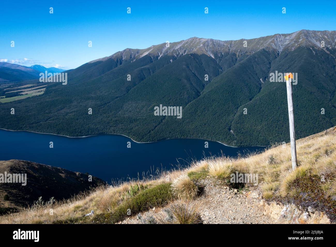 Lake Rotoiti from Paddys track, Nelson Lakes National Park, South ...