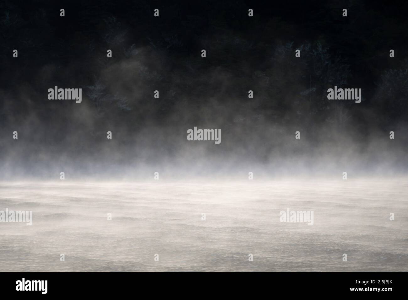 Lake Rotoiti, Nelson Lakes National Park, South Island, New Zealand ...