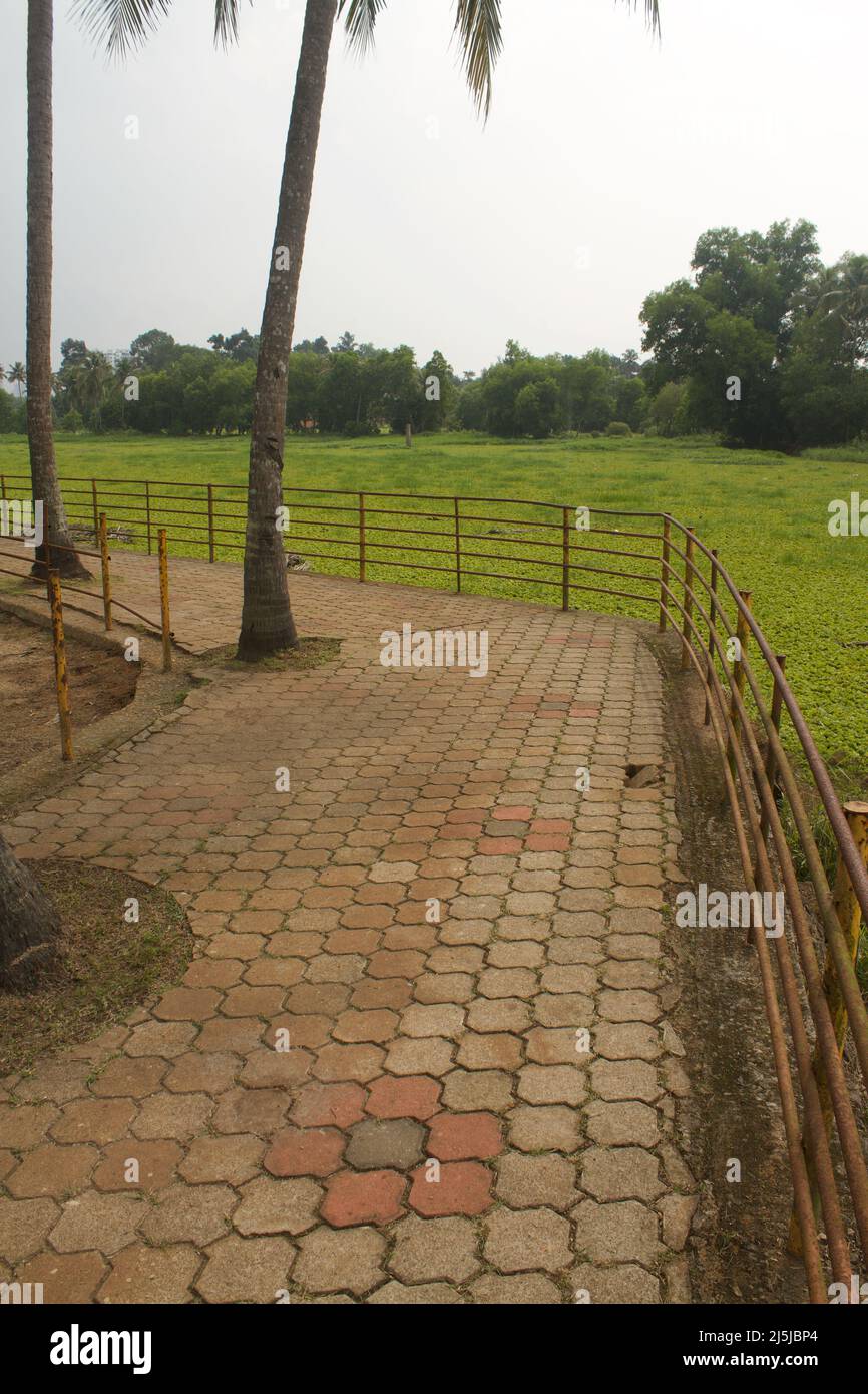 Tiled walkway with coconut trees at one side and river filled with ...