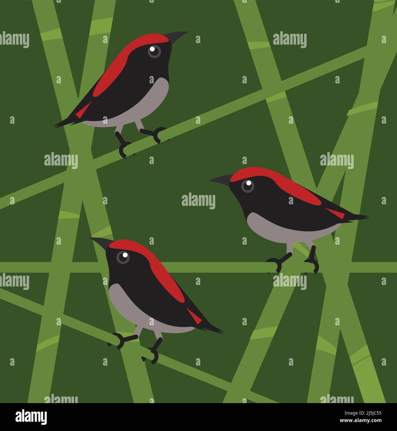 Field birds Stock Vector Images - Alamy