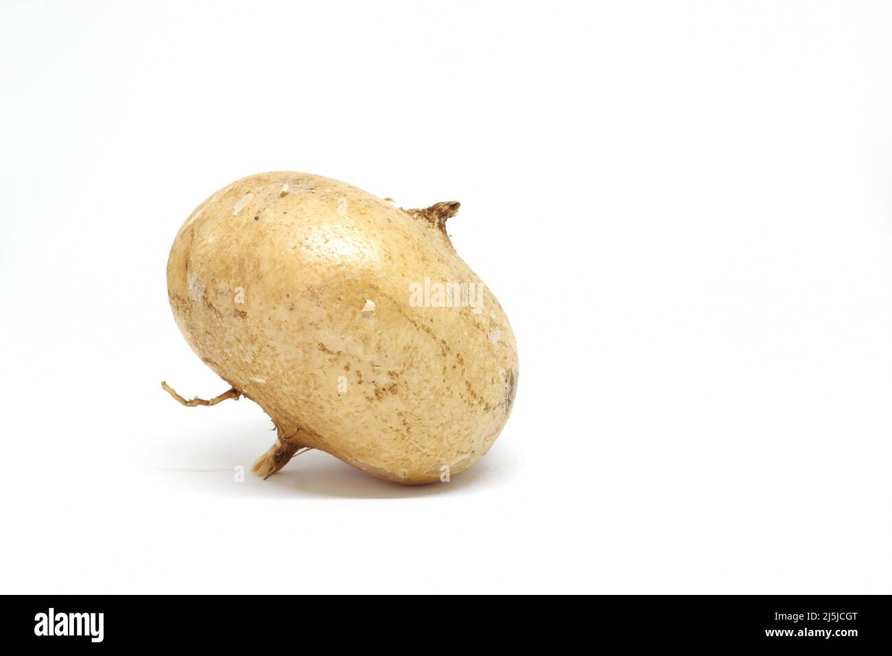 Singkamas hi-res stock photography and images - Alamy