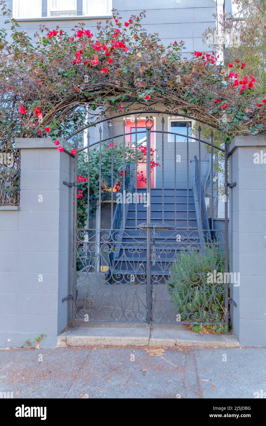 Wrought iron gate with a bougainvillea arbor at San Francisco ...