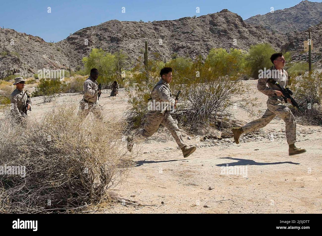 Combat logistics battalion 11 hi-res stock photography and images - Alamy