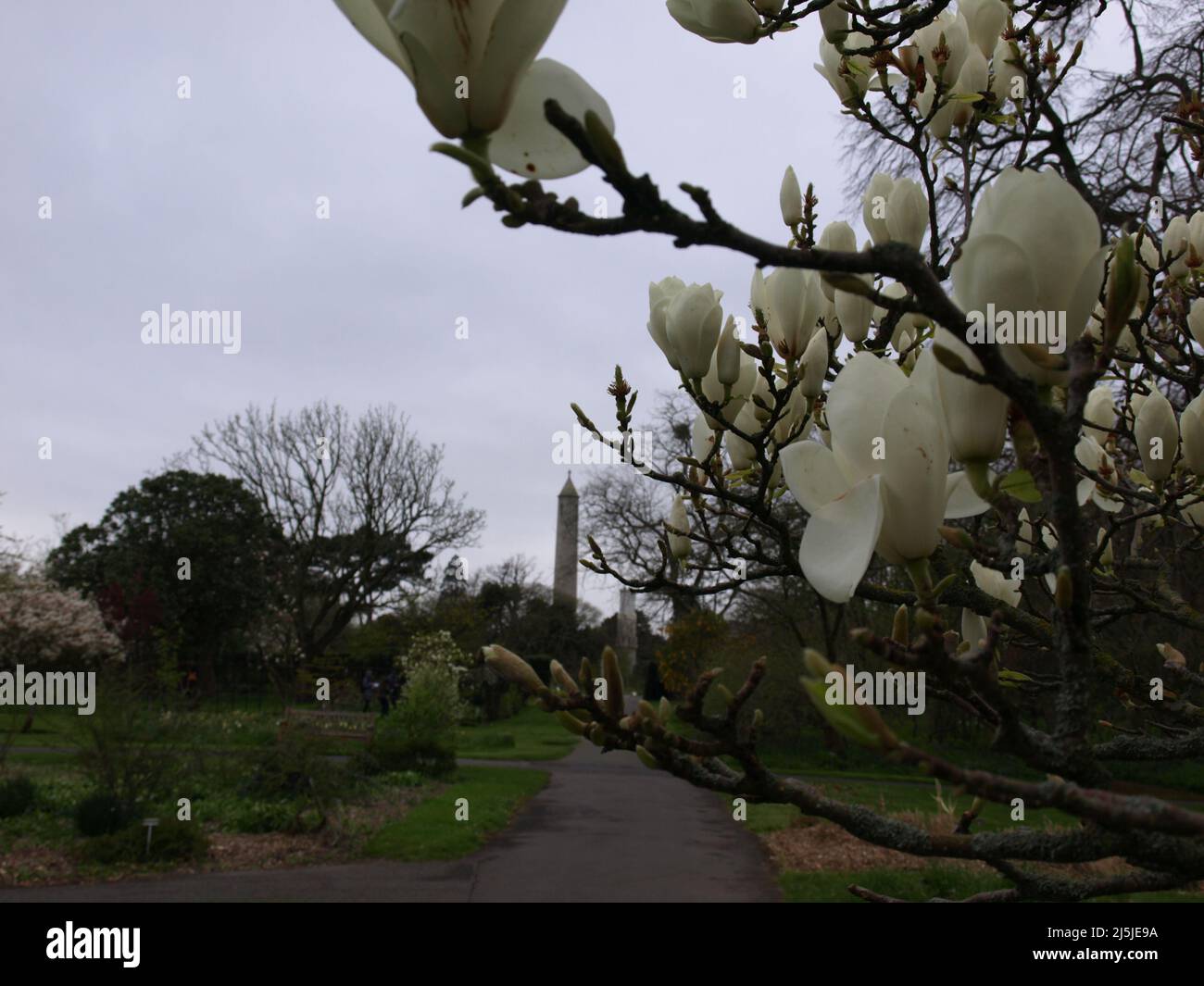 Dublin Ireland Botanic garden flowers creeks and forest Stock Photo - Alamy