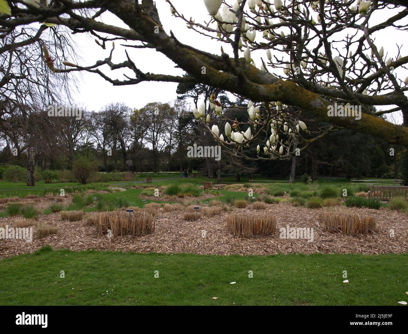 Dublin Ireland Botanic garden flowers creeks and forest Stock Photo - Alamy