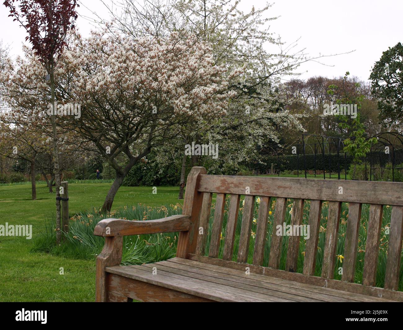 Dublin Ireland Botanic garden flowers creeks and forest Stock Photo - Alamy