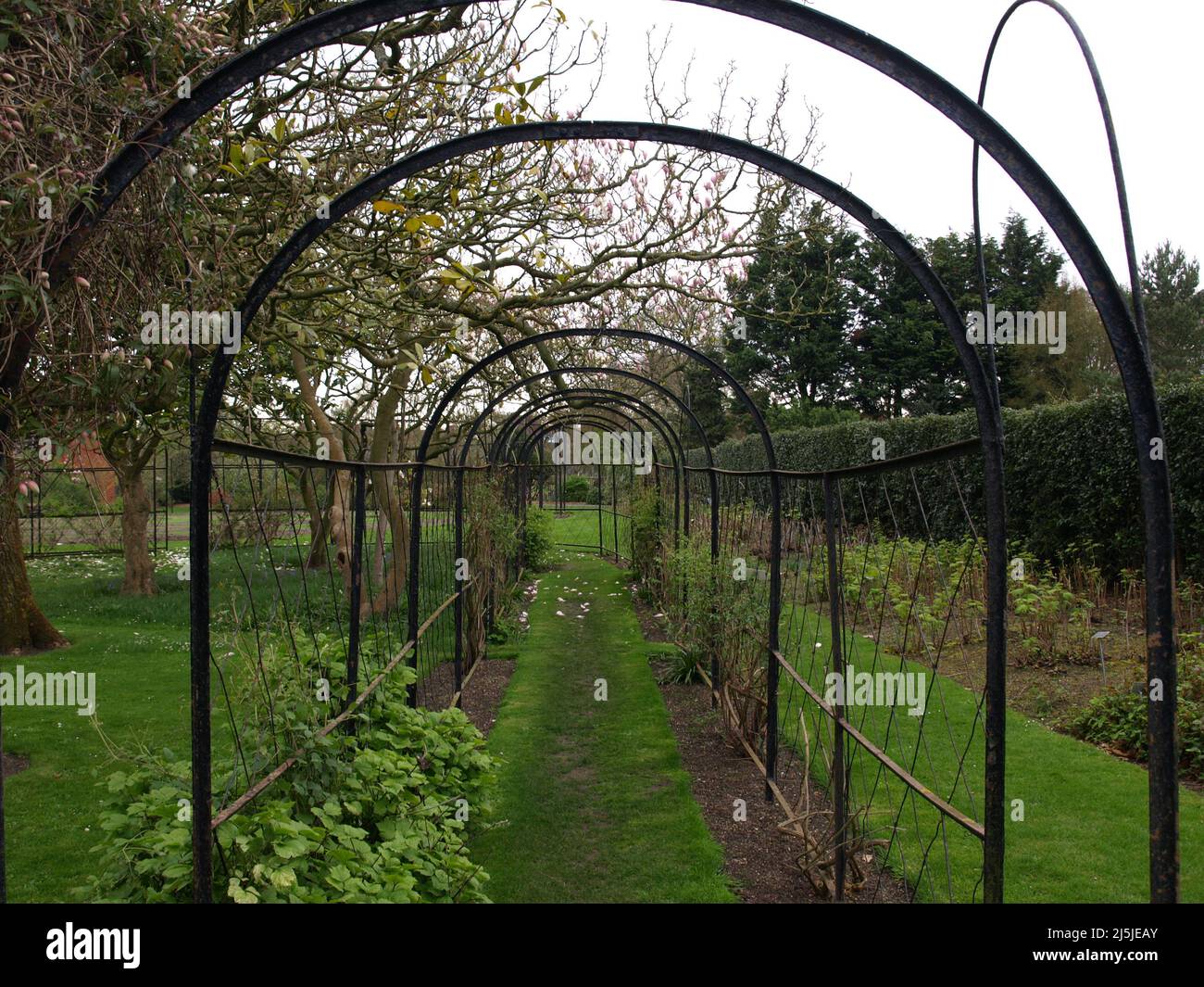 Dublin Ireland Botanic garden flowers creeks and forest Stock Photo - Alamy