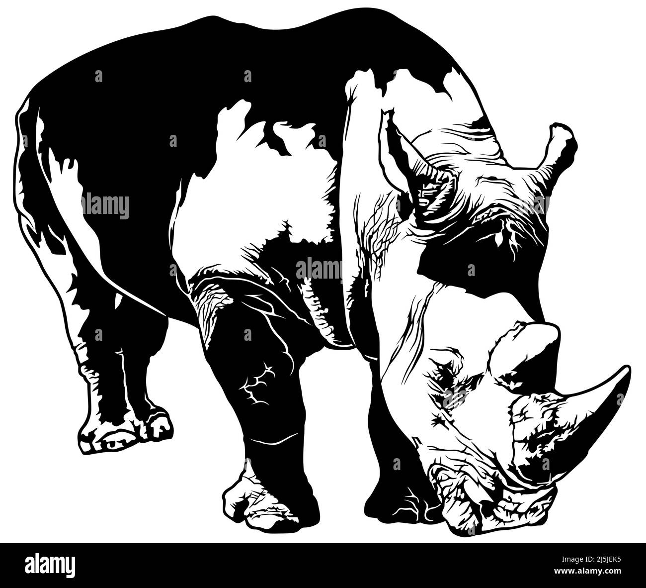 Drawing of a Standing Rhino Stock Vector Image & Art - Alamy