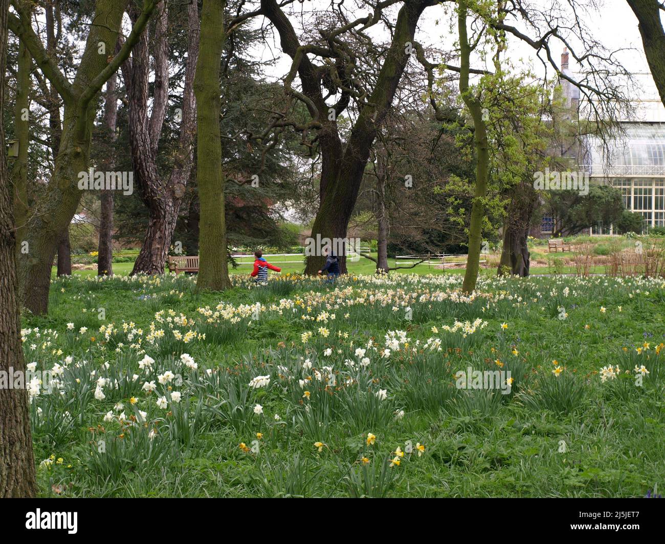Dublin Ireland Botanic garden flowers creeks and forest Stock Photo - Alamy