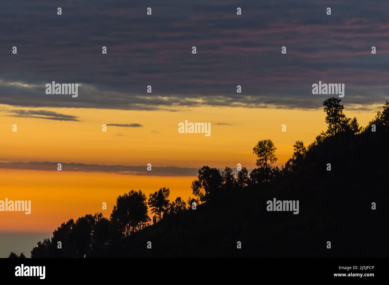 warm sunrise with trees on mountain Stock Photo - Alamy