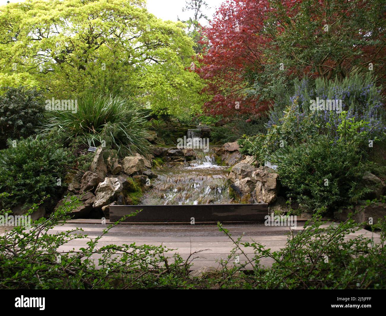 Dublin Ireland Botanic garden flowers creeks and forest Stock Photo - Alamy
