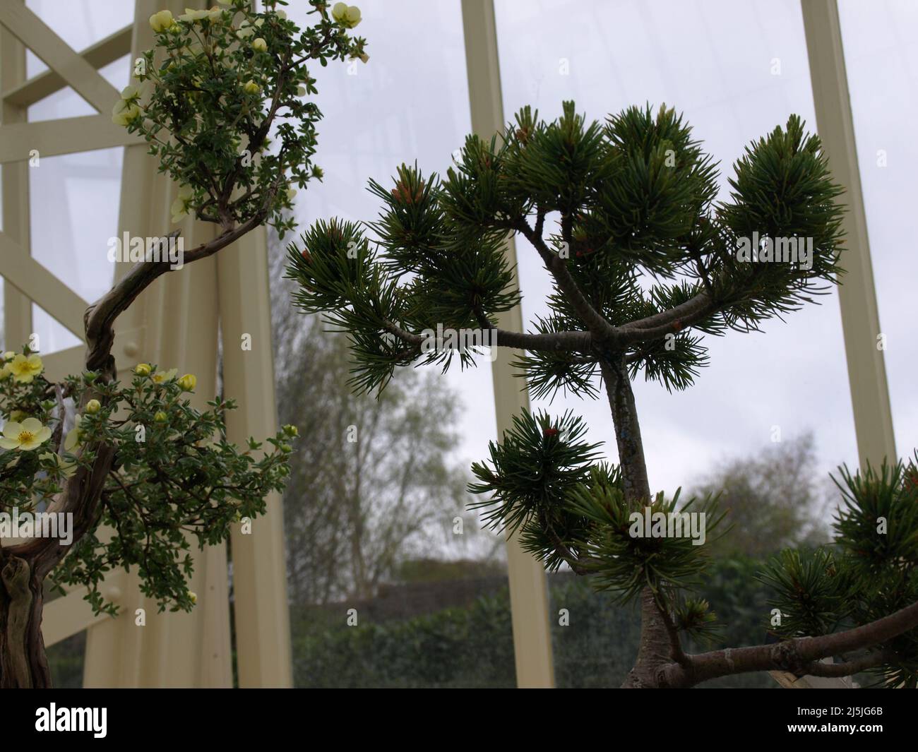 Dublin Ireland Botanic garden flowers creeks and forest Stock Photo - Alamy